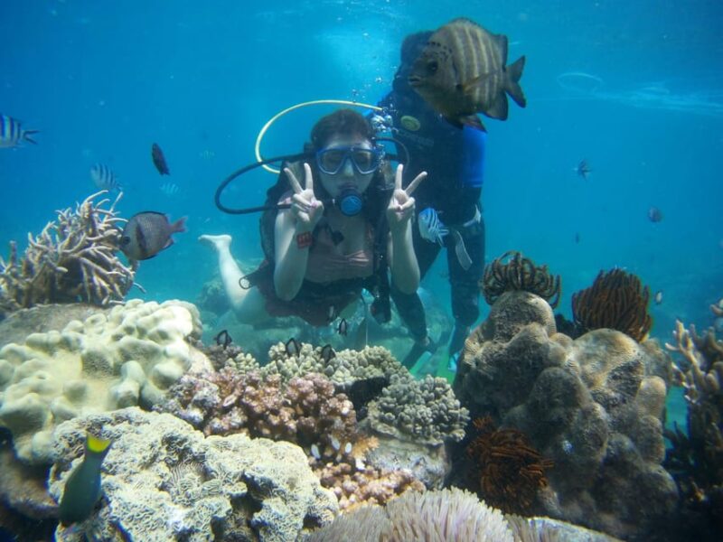 Red River Tour - Scuba Diving At Roi Island Phu Quoc - What You Get for the Price