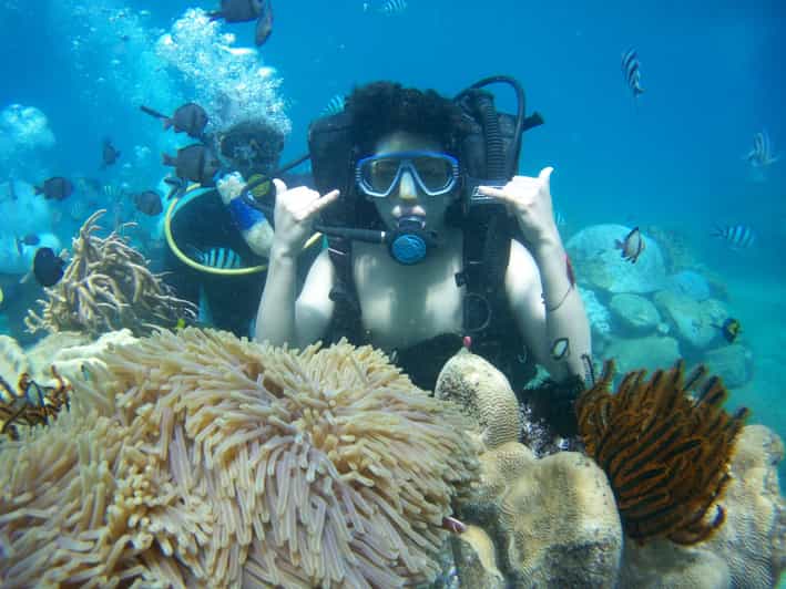 Red River Tour - Scuba Diving At Roi Island Phu Quoc - Expectations and Practical Tips