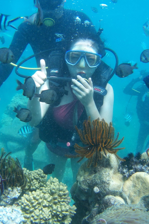 Red River Tour - Scuba Diving At Roi Island Phu Quoc - The Sum Up: Is This Tour Worth It?