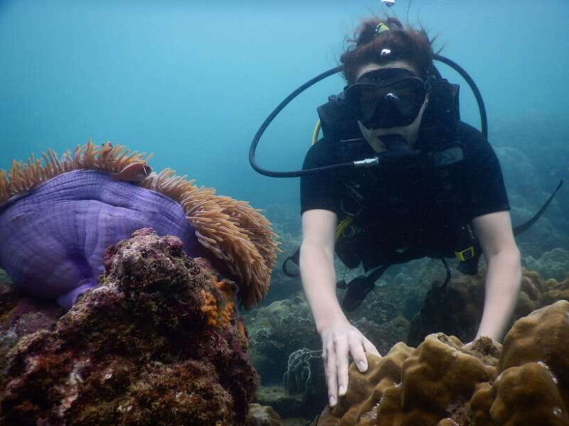 [Red River Tours] Luxury Professional Scuba Diving - Setting the Scene: What This Tour Is All About