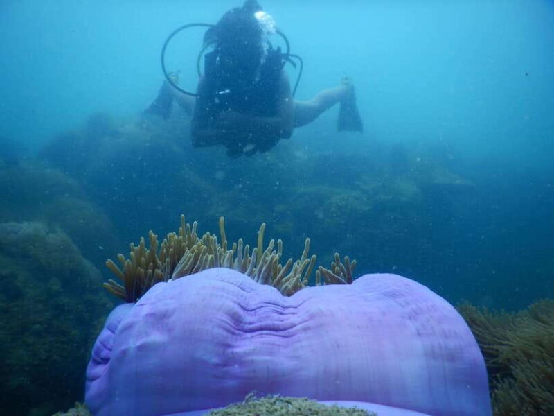 [Red River Tours] Luxury Professional Scuba Diving - A Balanced The Sum Up