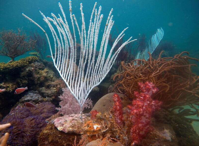 Red River Tours - Sea Walking Experience in Phu Quoc - What Makes This Tour Special?