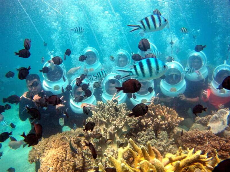 Red River Tours - Sea Walking Experience in Phu Quoc - Practical Tips for Your Trip