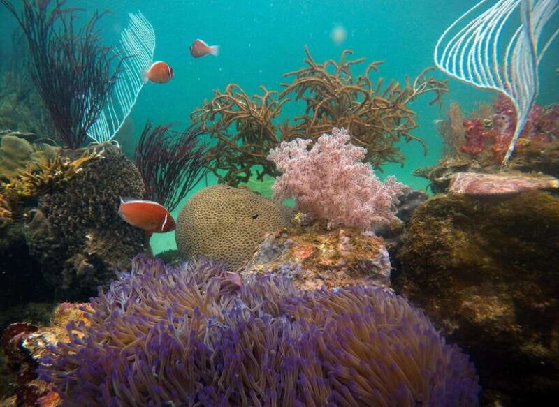 Red River Tours - Sea Walking Experience in Phu Quoc - What’s Included and What’s Not