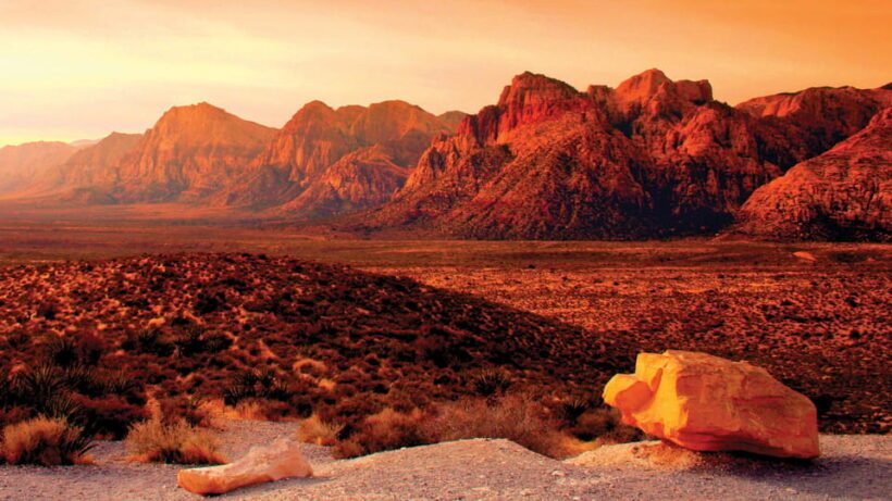 Red Rock Canyon Guided Automatic Slingshot Tour - What to Expect from the Red Rock Canyon Slingshot Tour