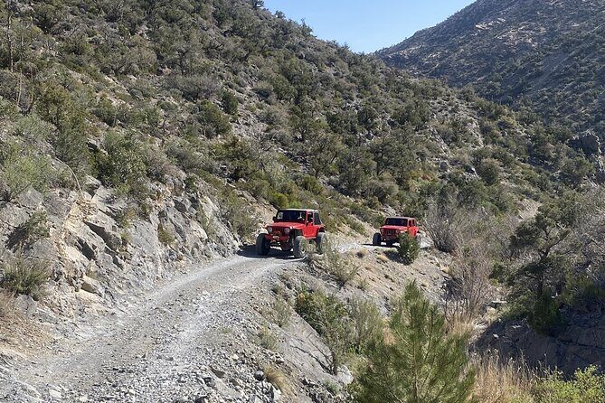 Red Rock Canyon Half Day Jeep Tour Offroad Adventure - The Complete Experience — What to Expect from Start to Finish