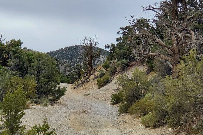 Red Rock Canyon Half Day Jeep Tour Offroad Adventure - How the Tour Fits into Your Las Vegas Trip