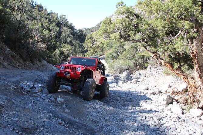Red Rock Canyon Half Day Jeep Tour Offroad Adventure - Who Should Consider This Tour?