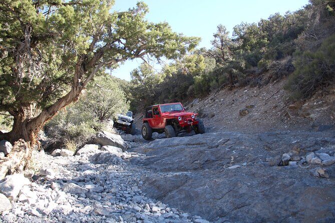 Red Rock Canyon Half Day Jeep Tour Offroad Adventure - Final Thoughts