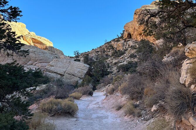 Red Rock Canyon Hiking Adventure fom Las Vegas - Who Should Book This Tour?