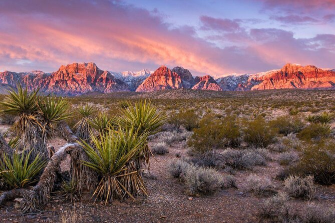 Red Rock Canyon Scenic Self-Drive Private Rental - Key Points