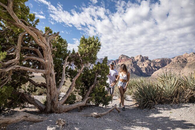 Red Rock Canyon Scooter Tour from Las Vegas - What You’ll See and Learn