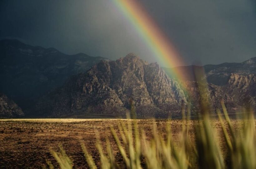 Red Rock Canyon Sign& Seven Magic Mountains Tour - An In-Depth Look at the Tour Experience