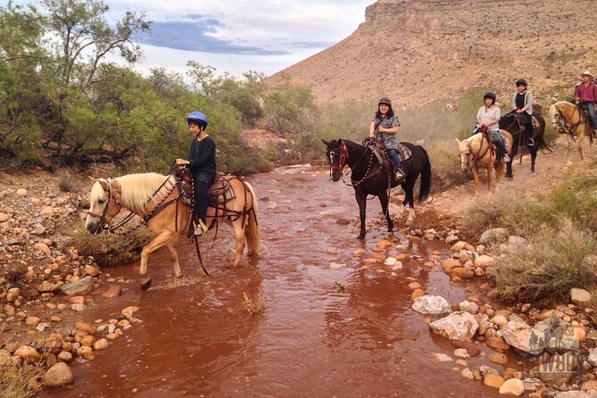 Red Rock Canyon Sunset Horseback Ride and Barbeque Dinner - Final Thoughts