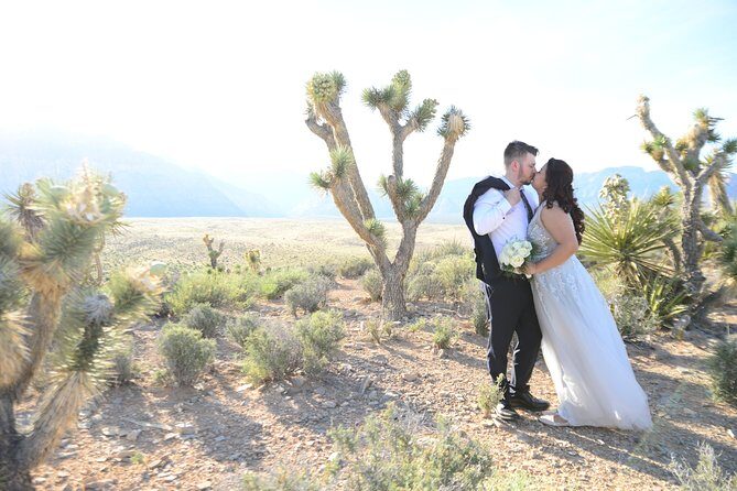 Red Rock Canyon Wedding by Private Limousine - The Sum Up