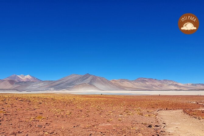 Red Stones and Altiplanic Lagoons - Accessibility and Participation