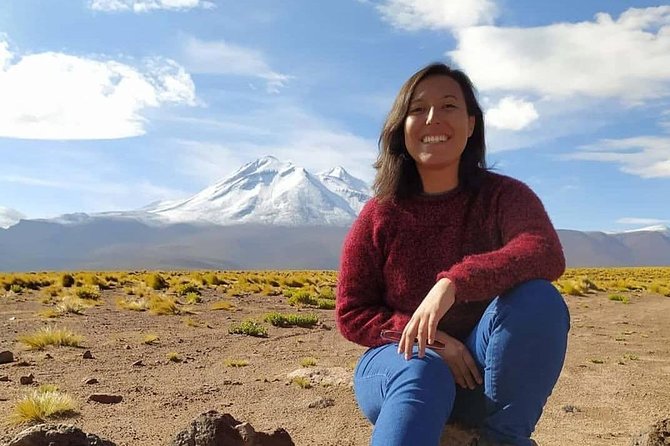 Red Stones and Altiplanic Tour - Witnessing the Flamingos at Salar De Atacama