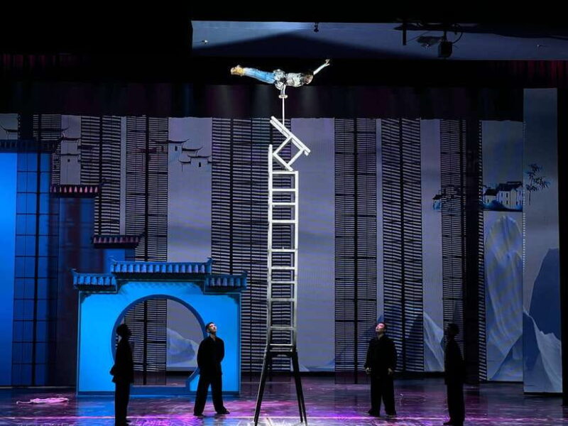Red Theater Beijing Acrobatic Show With Private Transfer - The Practicalities: Transportation, Timing, and Comfort