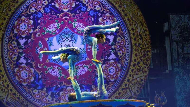 Red Theater Beijing Acrobatic Show With Private Transfer - Who Will Love This Tour?