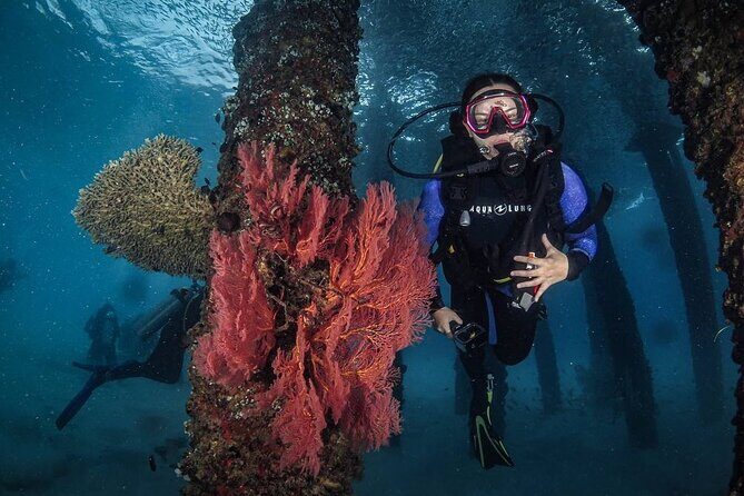Redang Island Scuba Diving for Beginners - Key Points