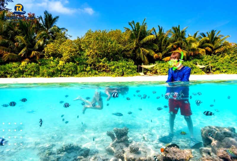 RedRiverTour- Discovery 3 islands with Cable car Phu Quoc - The Details: What Travelers Should Know