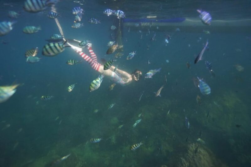 RedRiverTour - Discovery 3 Islets, Snorkeling By Speedboat - Practicalities: Timing, Costs, and What to Bring