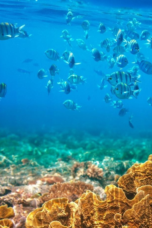 RedRiverTour-Discovery 3 Islets, Snorkeling &Fishing By Boat - An Honest Look at the Itinerary and What to Expect