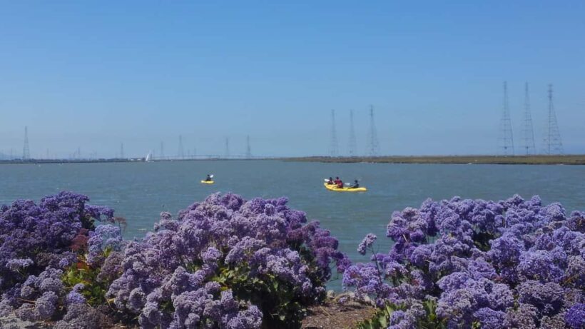 Redwood City: Kayak Rental - Final Thoughts