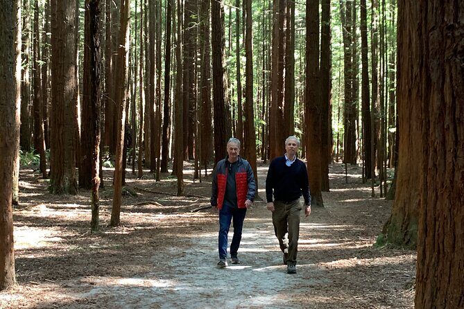 Redwood Forest , Blue Springs & Huka Falls Day Tour from Auckland - Who Should Consider This Tour