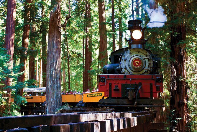 Redwood Forest, Santa Cruz Harbor 1-Day Trip from San Francisco - Exploring the Redwood Forest and Santa Cruz on a Day Trip