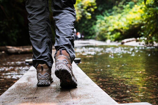 Redwood National Park Self-Guided Audio Tour - FAQ