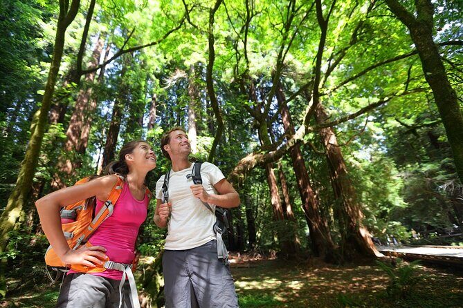 Redwood Retreat: Tour to Muir Woods from San Francisco - Redwood Retreat: Tour to Muir Woods from San Francisco
