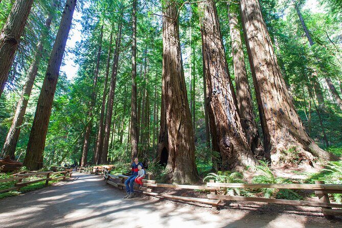 Redwood Retreat: Tour to Muir Woods from San Francisco - An In-Depth Look at the Redwood Retreat Tour