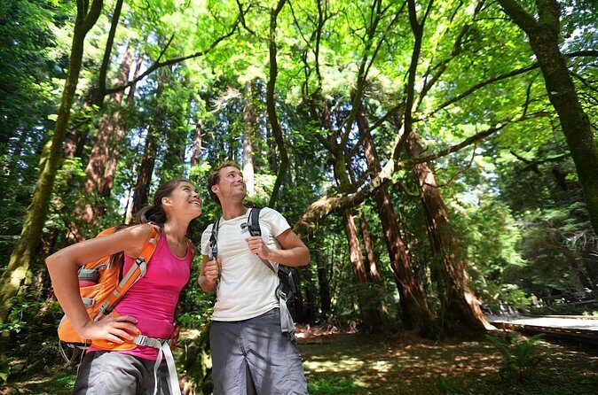 Redwood Retreat: Tour to Muir Woods from San Francisco - FAQ