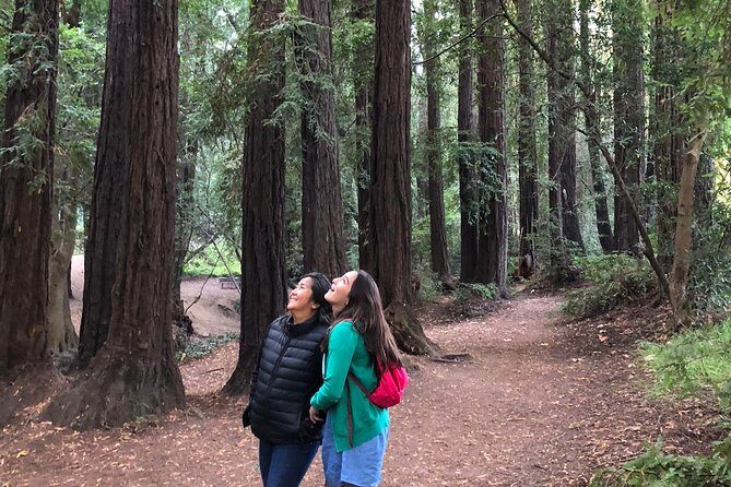 Redwoods of Marin and Mt. Tamalpais Walking Tour with Local Guide - Why This Tour Is a Great Choice