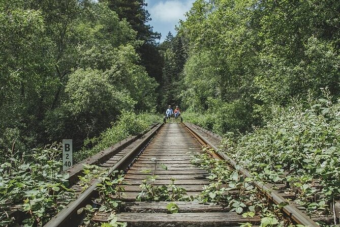 Redwoods Railbike Along Pudding Creek - Tour Starting Point: Skunk Train Depot in Fort Bragg