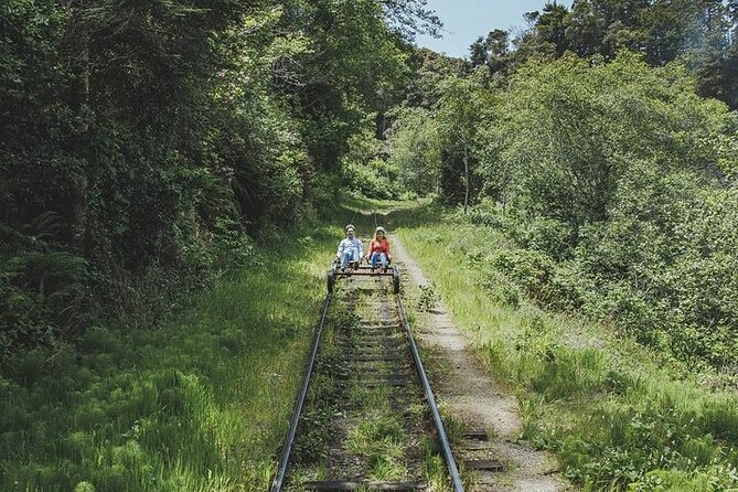 Redwoods Railbike Along Pudding Creek - Suitability for Families and Children