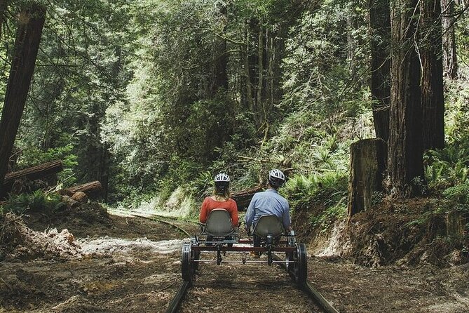 Redwoods Railbike Along Pudding Creek - Pricing and Reservation Options