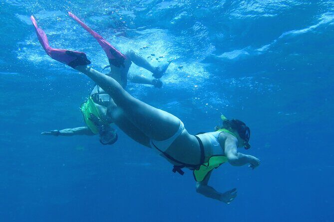 Reef and Turtle Adventure - Kayak and Snorkel Tour - A Practical Look at the Reef and Turtle Adventure - Kayak and Snorkel Tour