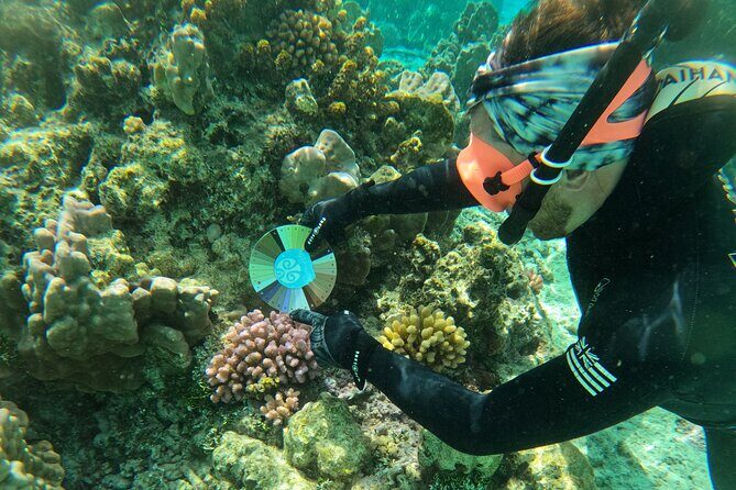 Reef Exploration with Reva Atea participatory science - An Honest Look at the Reef Exploration with Reva Atea
