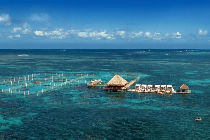 Reef Explorer Half Day Trip - Key Points