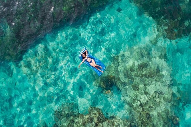 Reef Explorer Half Day Trip - Final Thoughts