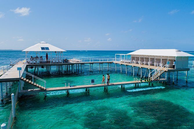 Reef Explorer Multiple activity Excursion from Punta Cana by Marinarium - Key Points