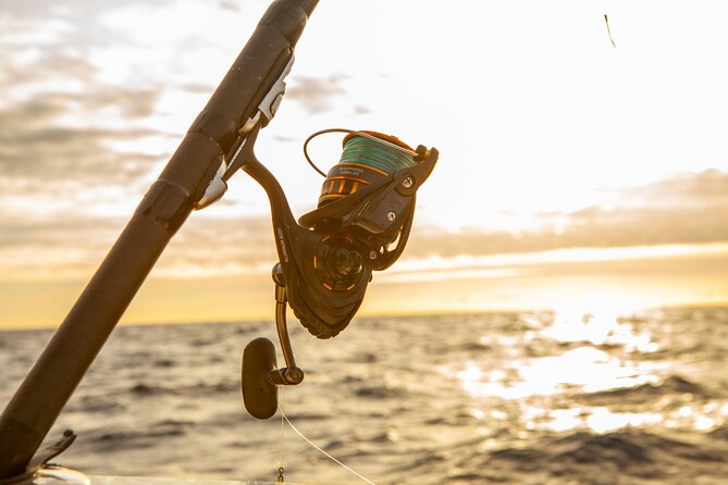 Reef Fishing Experience from Portimao - Key Points