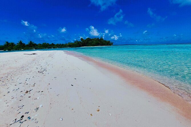 REEF ISLAND | private island | pink sand | natural swimming pools - What Makes This Tour Special?