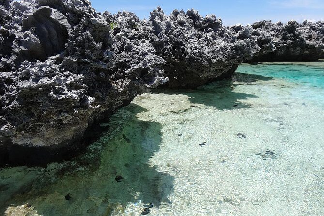 REEF ISLAND | private island | pink sand | natural swimming pools - Who Should Consider This Tour?