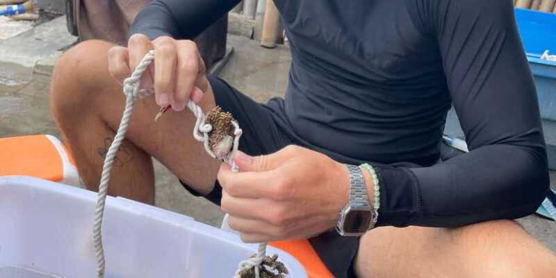 Reef Rehabilitation Course & Snorkeling - Practical Details and Considerations