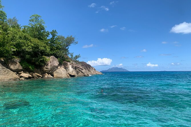 Reef Safari - Snorkeling, Fish Feeding & Lunch (Shared Day Trip) - Itinerary and Highlights