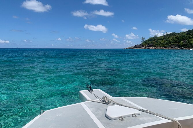 Reef Safari - Snorkeling, Fish Feeding & Lunch (Shared Day Trip) - Guest Feedback and Recommendations