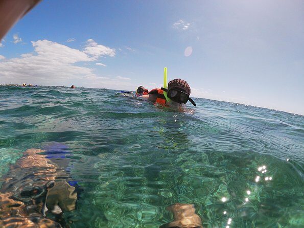 Reef Snorkel In National Park In Puerto Morelos With Lunch And Transportation - Practical Insights: What This Tour Means for You